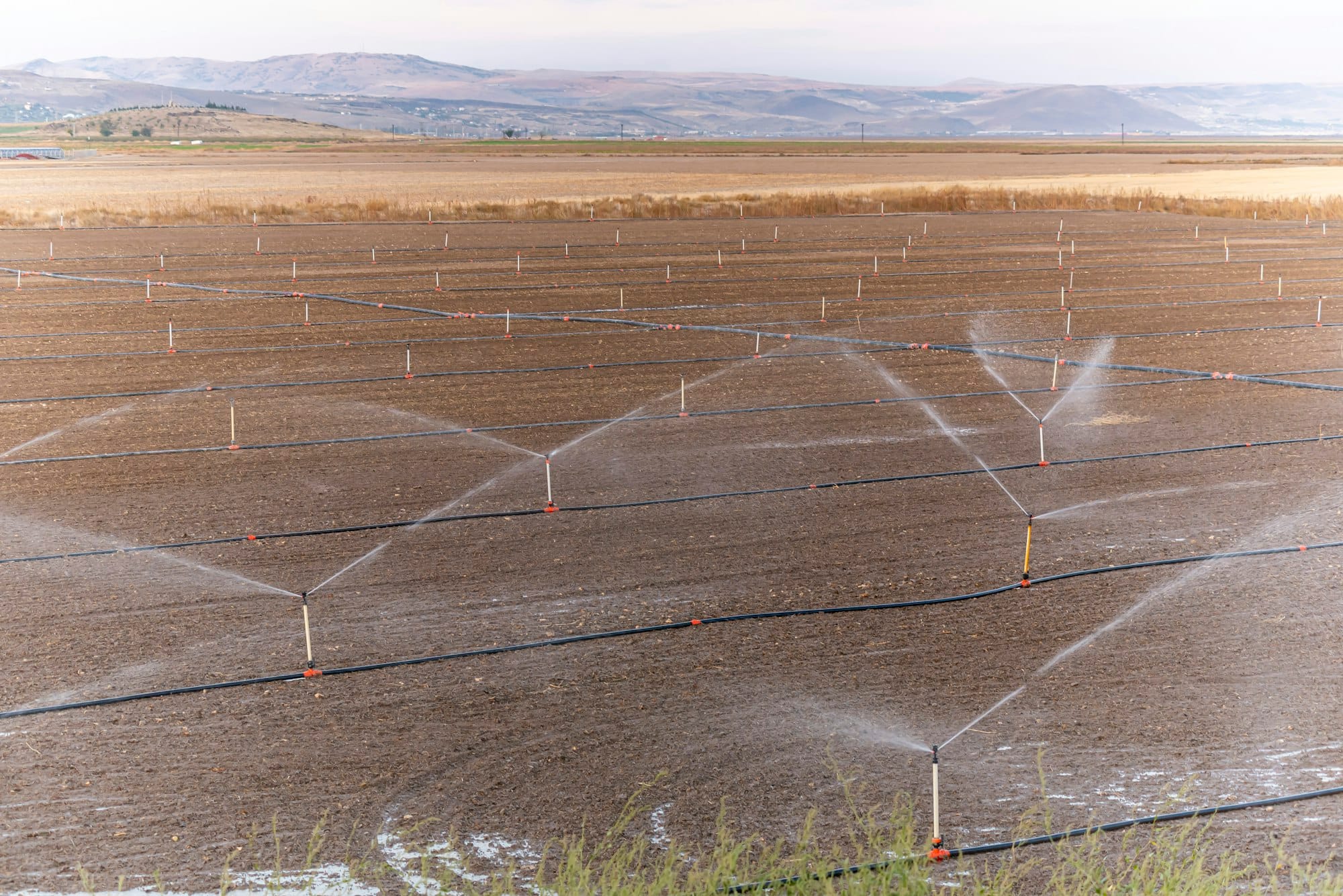 The Impact of Farmia IoT on Global Agriculture
