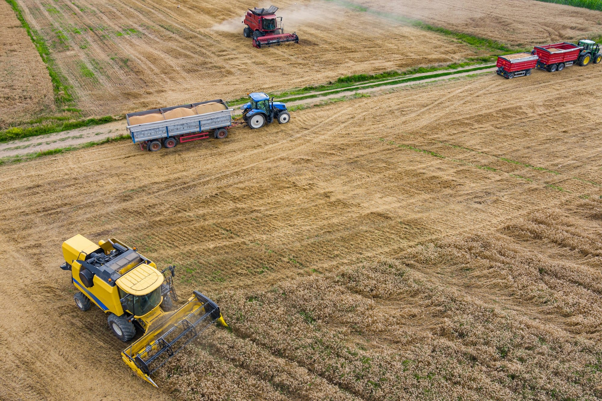 The Impact of Farmia IoT on Global Agriculture